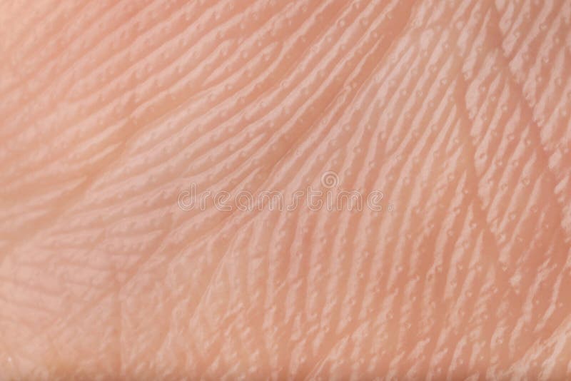 9,869 Smooth Skin Texture Photos - Free & Royalty-Free Stock Photos ...