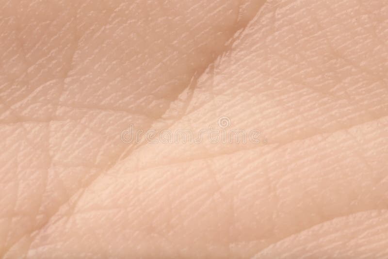 Texture of Human Skin, Closeup Stock Image - Image of covering ...
