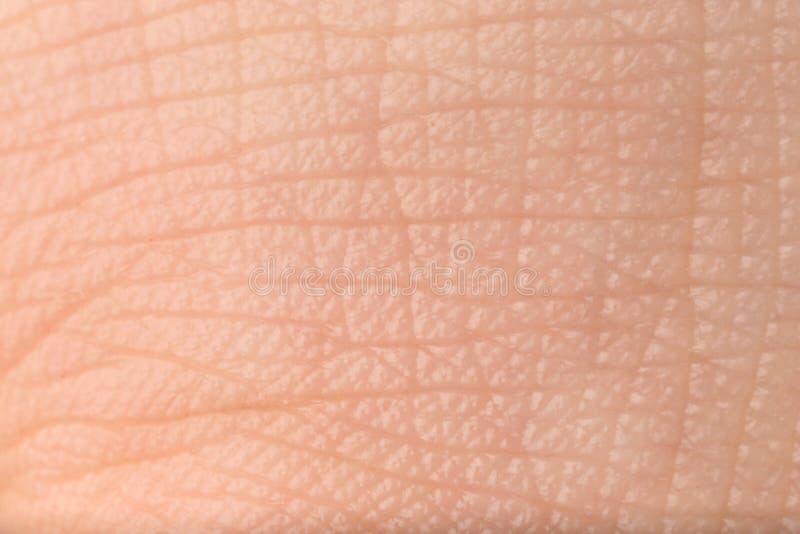 Texture of Human Skin, Closeup Stock Photo - Image of skin, caucasian ...