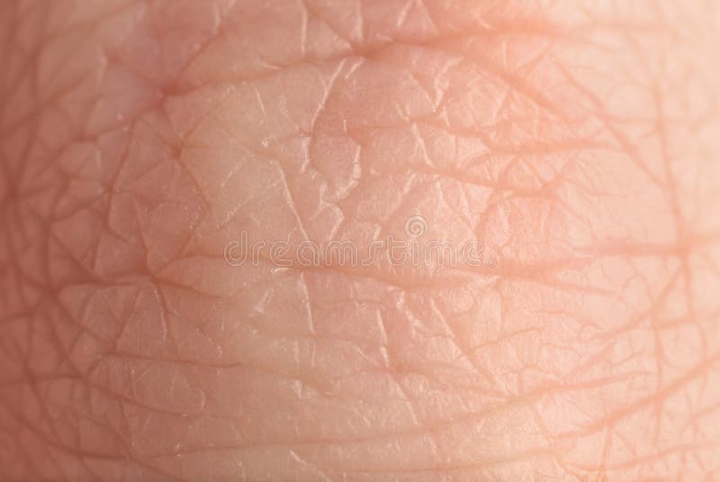 Texture of Human Skin, Closeup Stock Photo - Image of clean, smooth ...
