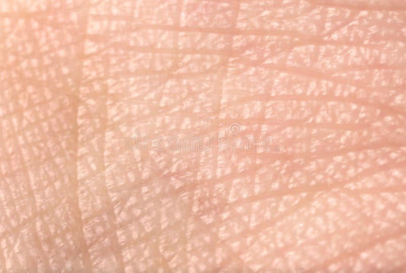 Texture of Human Skin, Closeup Stock Image - Image of closeup, hygiene ...