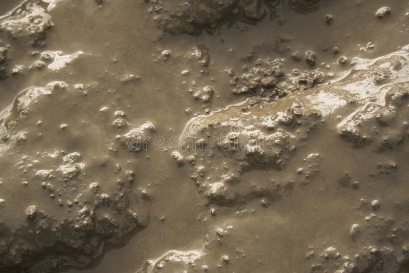 Texture humide de boue image stock. Image du sale, boue - 3360697