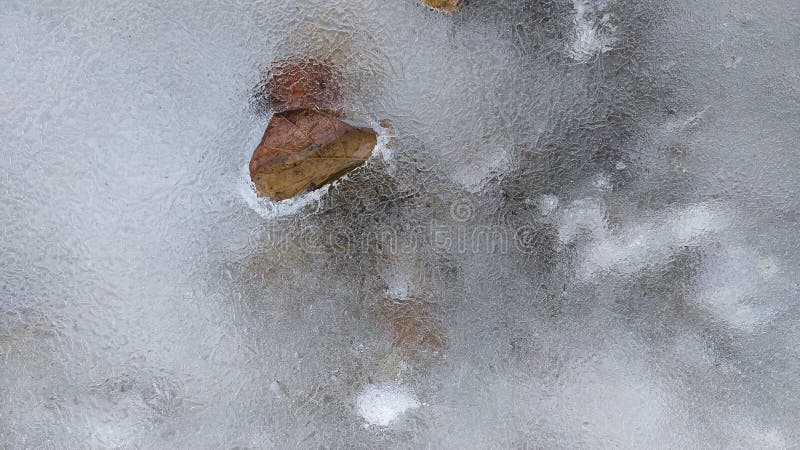 Texture of Ice in a Pond, and a Frozen Tree Leaf Stock Photo - Image of ...
