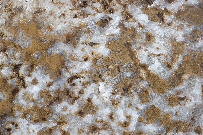 Texture of Icy Mud. Ice Sand Water. for 3D Texturing Stock Image ...