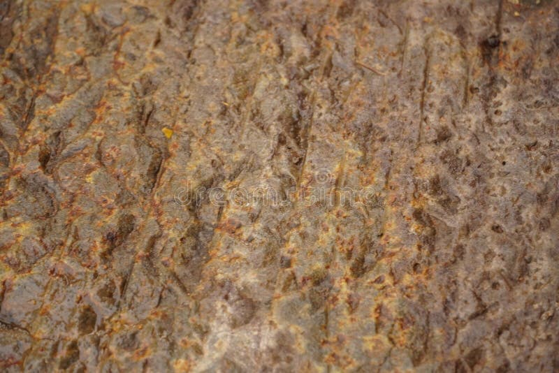 Texture image of stone HD stock image. Image of closeup - 261073701