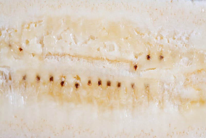 Texture of the Inner Pulp of the Banana Stock Photo - Image of nature ...