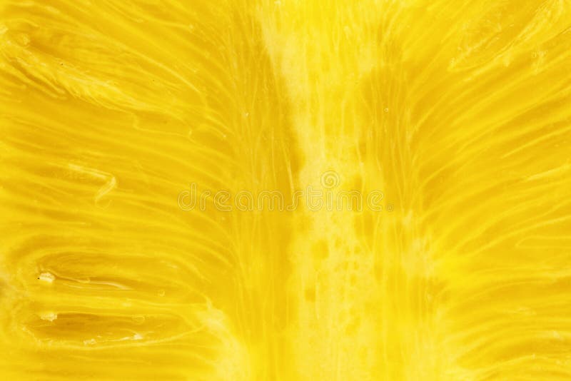 Pineapple texture stock image. Image of tropical, succulent - 959905