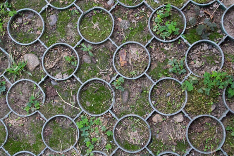 Texture of Circular Shaped Plastic Shapes Stock Image - Image of ...