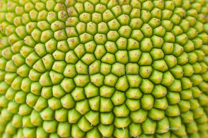 Fruit Texture