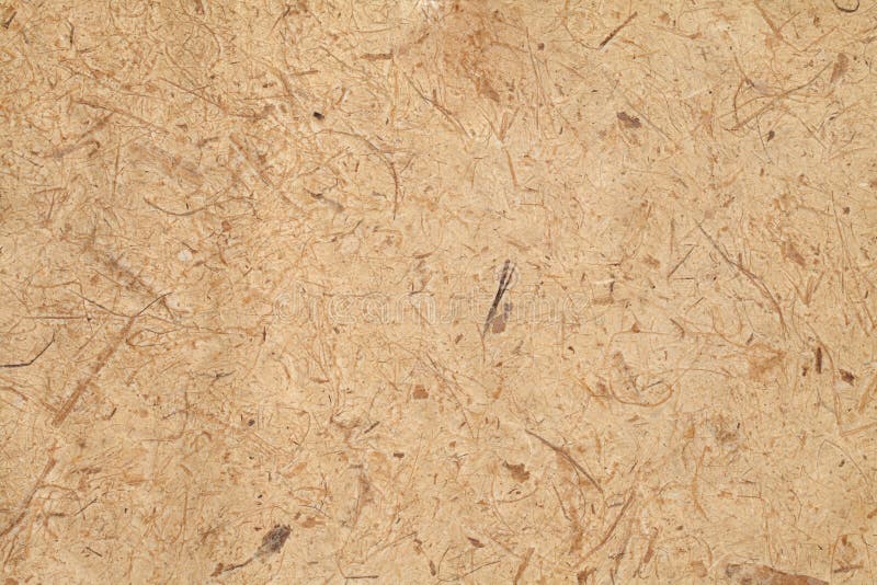 Japanese Paper Texture