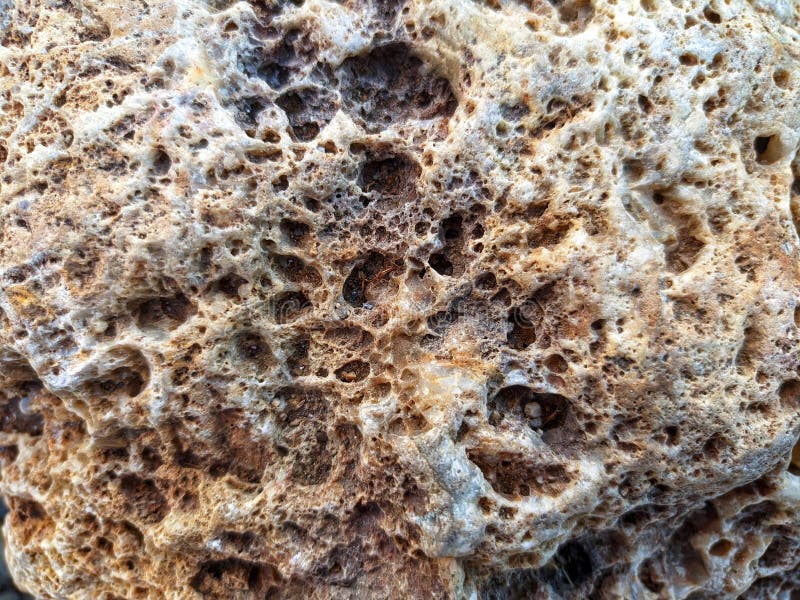 The Texture of Karst Rocks with Their Unique Surface and Color ...