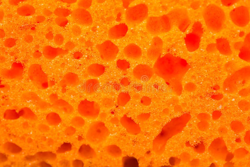Texture of a Kitchen Sponge Close-up Stock Photo - Image of equipment ...