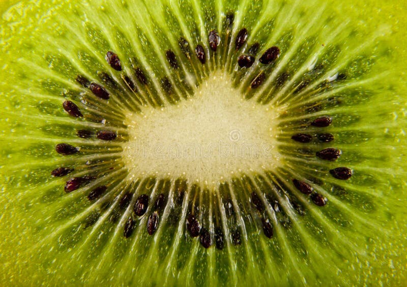 Texture of kiwi stock image. Image of isolated, natural - 172931633