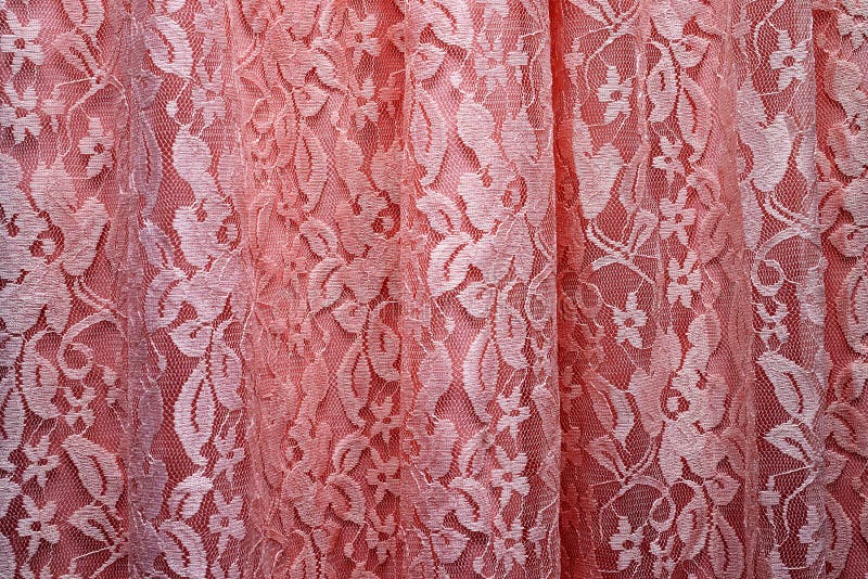 The Texture of Lace Fabric. Detail of the Dress Stock Image - Image of ...