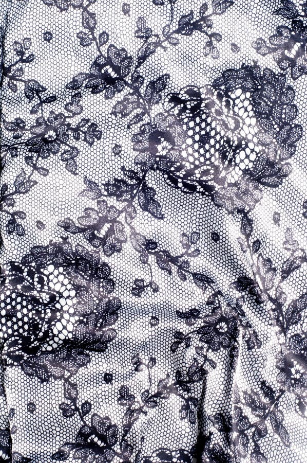 Texture Lace Fabric. Lace on White Background Studio Stock Photo ...