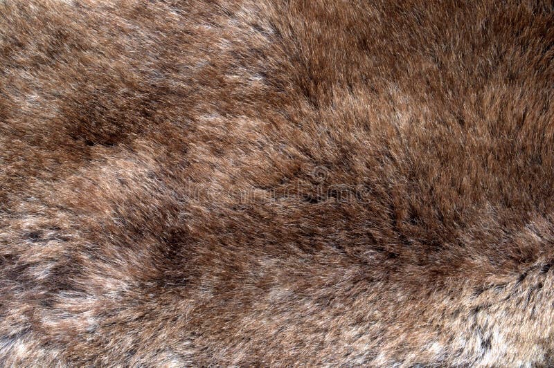 The texture of lamb fur. stock photo. Image of textile - 225845368