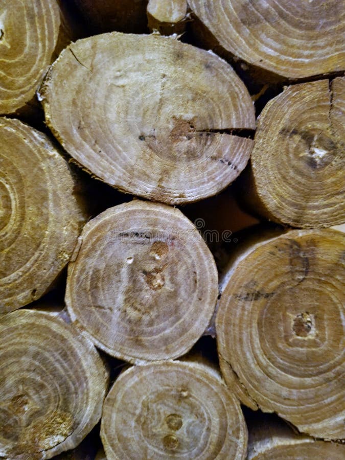 Texture of Large Sawn Wooden Logs Stock Image - Image of logs, wooden ...