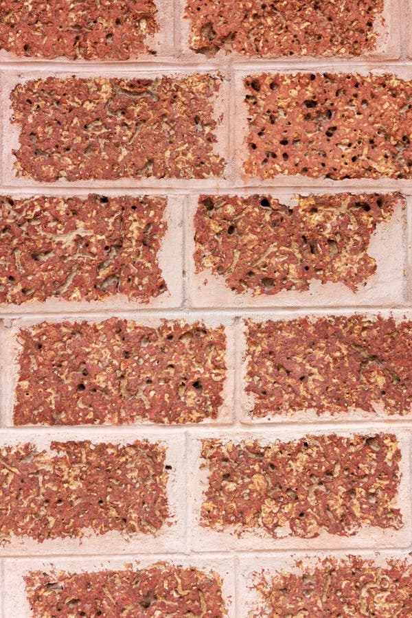 Texture on Red Laterite Stone Wall Stock Photo - Image of india, state ...