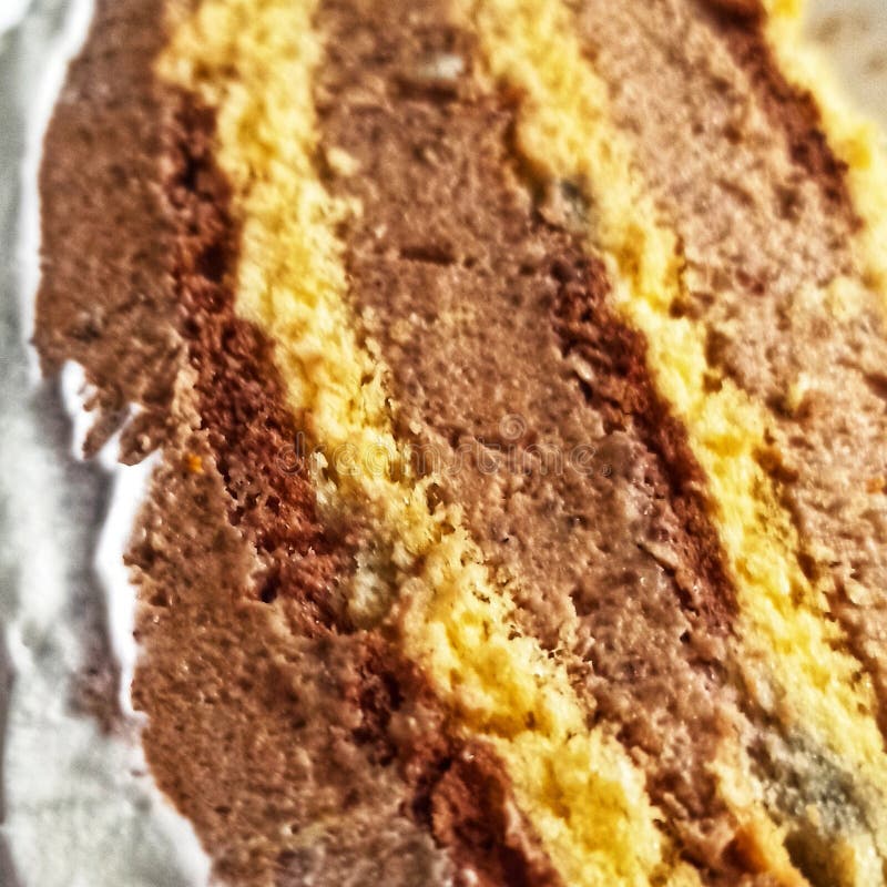 Texture and Layers of a Cake Close Up Stock Image - Image of nuts ...