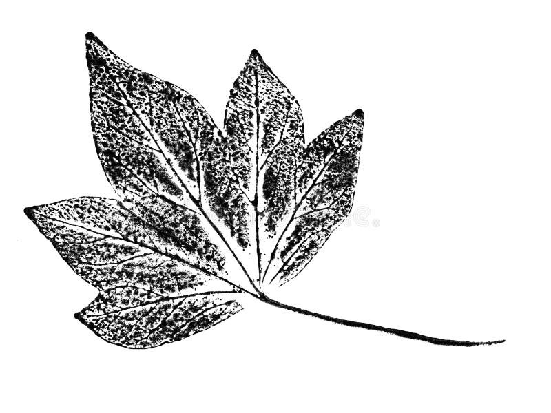 Foliage Imprint Stock Illustrations – 2,113 Foliage Imprint Stock ...