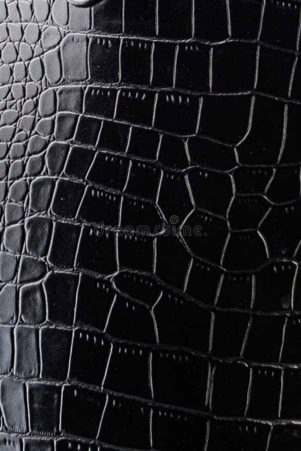 Black Patent Leather Texture