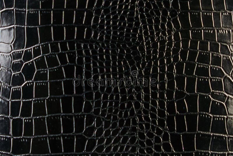 The Texture of the Leather in Black. Patent Leather Stock Photo - Image ...