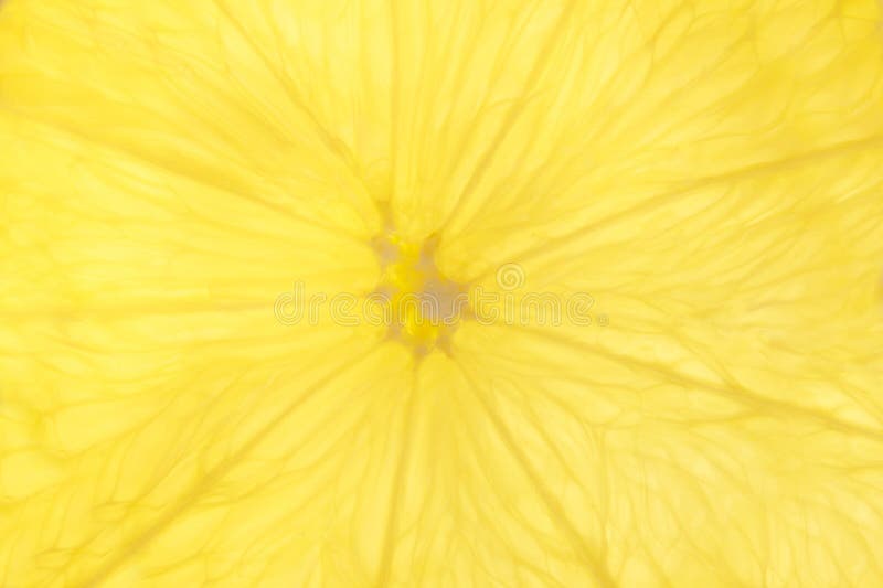 Texture of lemon slice stock image. Image of exotic, skin - 78910771