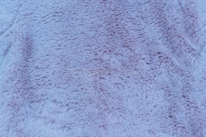 Light Blue Fur Texture. Fur Background. Stock Image - Image of design ...