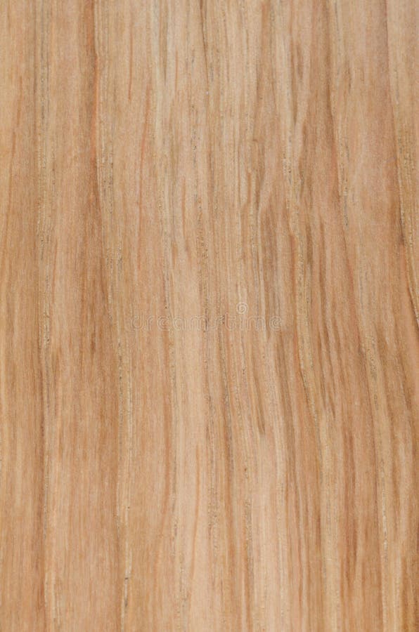 Texture of Light Brown Wood Background Stock Photo - Image of vintage ...