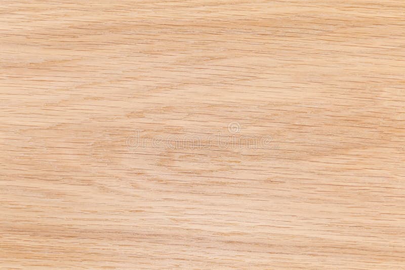 Texture of the Light Colored Oak Plank, Close-up Stock Photo - Image of ...