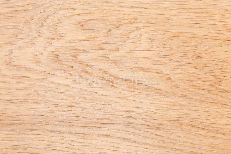 Texture of the Light Colored Oak Plank, Close-up Stock Image - Image of ...