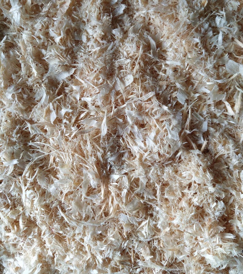 Texture of Light Colored Pine Wood Chips Stock Photo - Image of rock ...