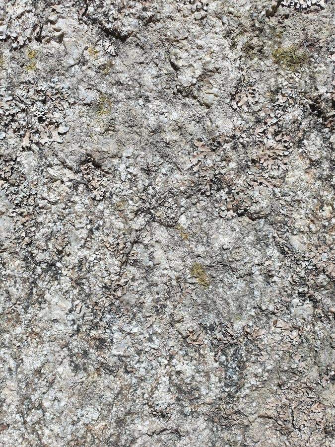 Gray stone texture stock photo. Image of ocean, texture - 347486262