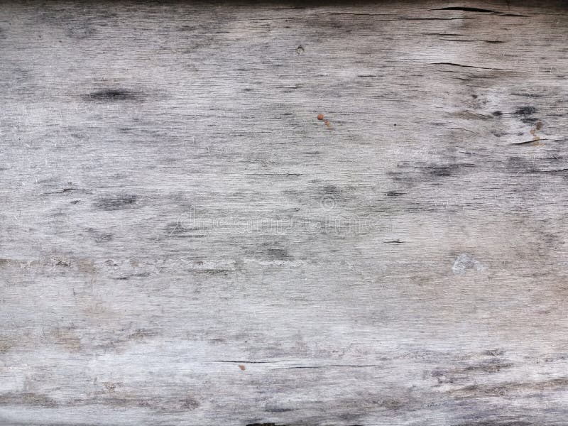 Texture light gray wood stock photo. Image of rock, plaster - 259073042