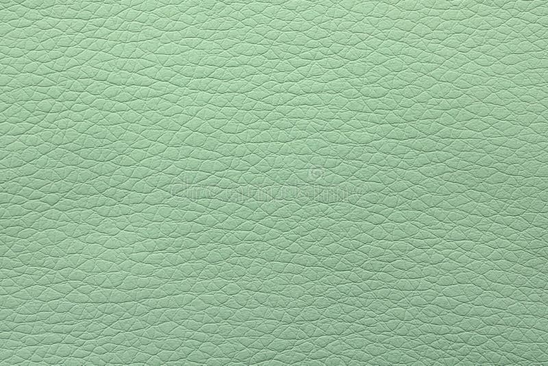 Texture of Light Green Leather As Background, Closeup Stock Photo ...