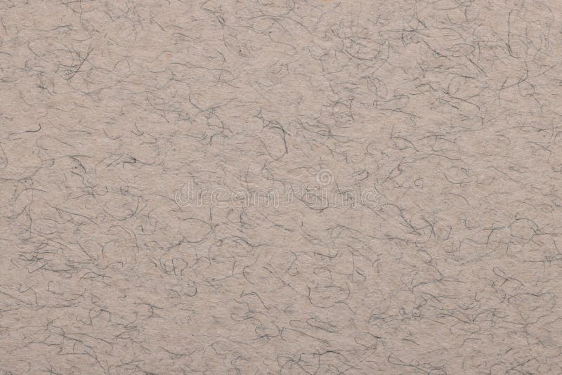 Texture of Light Grey Paper Sheet As Background, Top View Stock Photo ...