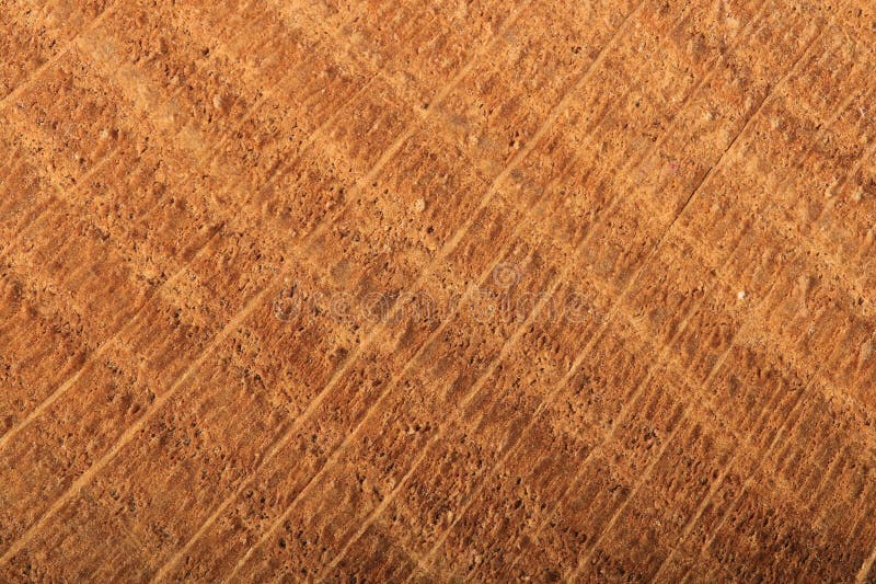 The Texture of Light Oak Wood, Solid Wood or Wood. that S a Close-up ...