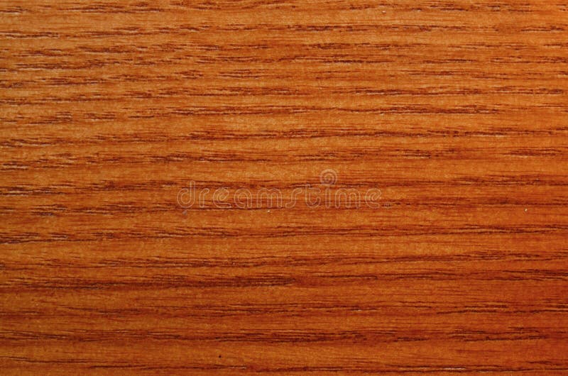 Maple Wood Texture Background. Stock Photo - Image of grain, decorative ...