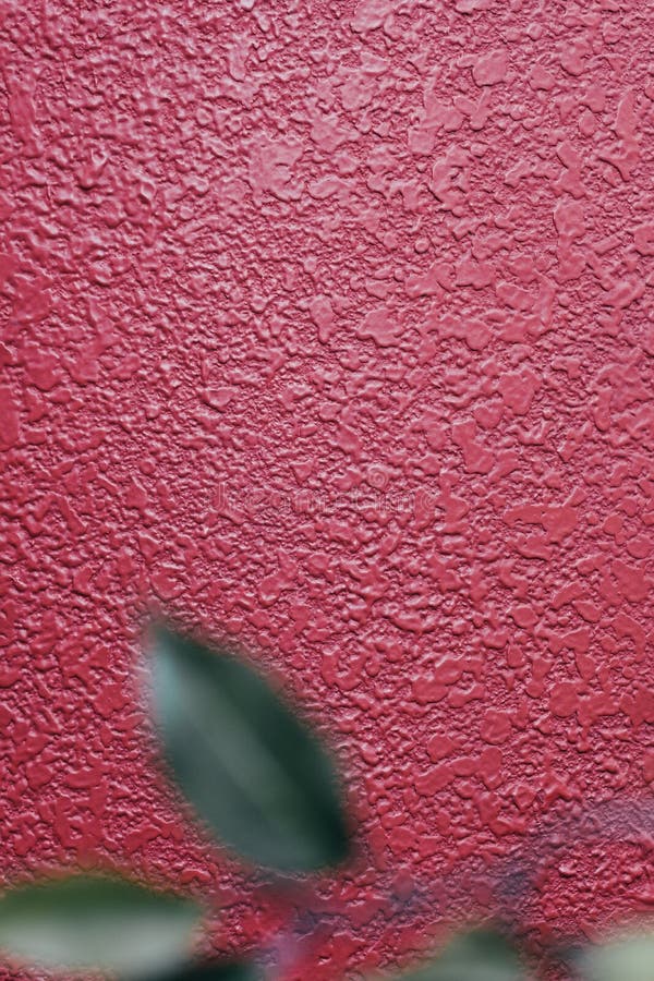 Texture of a Light Purple Wall with Leaves in a Blur Stock Photo ...
