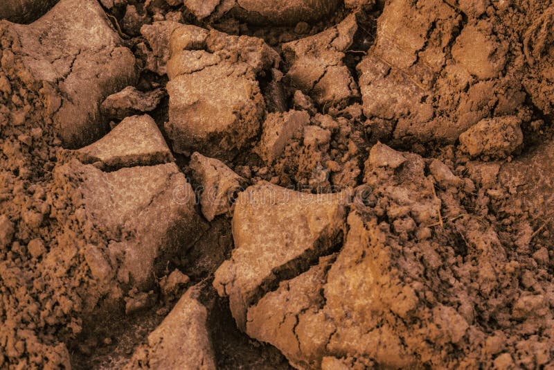 Texture of Light Soil Soil. Background of Dirt, Soil with a Trace of ...