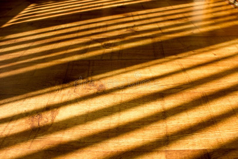 The Texture of Light Wood in the Sun Stock Photo - Image of pine, desk ...