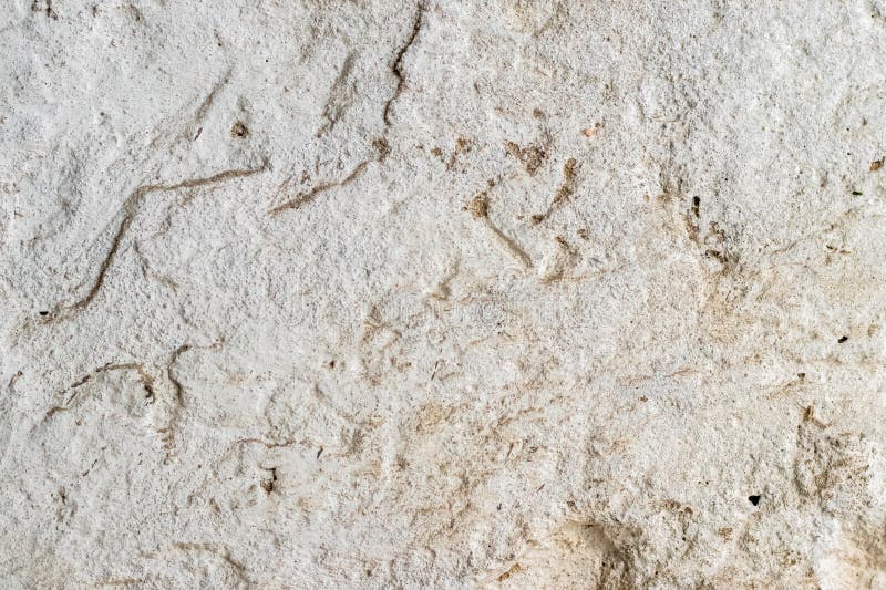 Texture of Lime-whitewashed Roughly Plastered Wall with Dust Stock ...