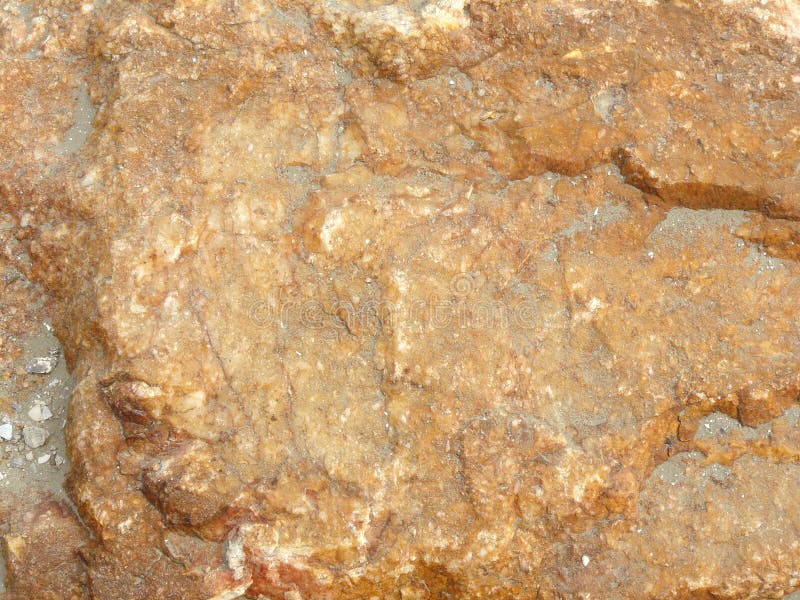 Texture of Limestone is Formed by the Process of Decay of the Rock from ...