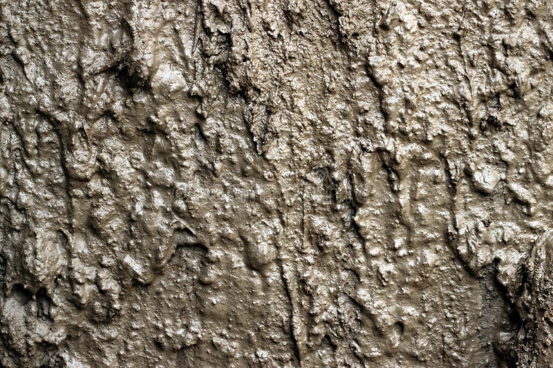 Texture of Liquid Mud Close-up Stock Photo - Image of reek, ooze: 230905214
