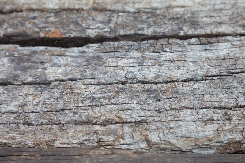 Texture log stock image. Image of industry, pattern, stump - 84938767