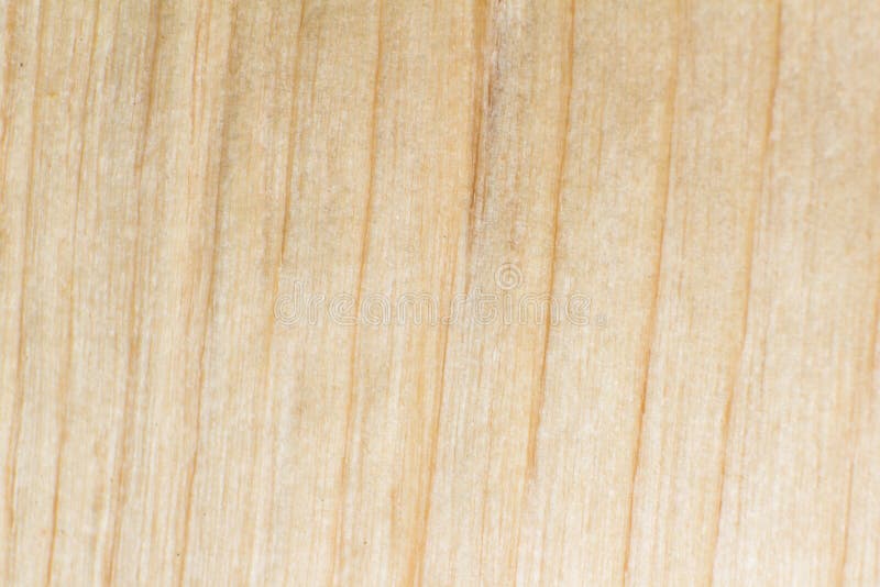 Texture of a Log or Log Split Across, Macro Shot, Wood Fibers are ...