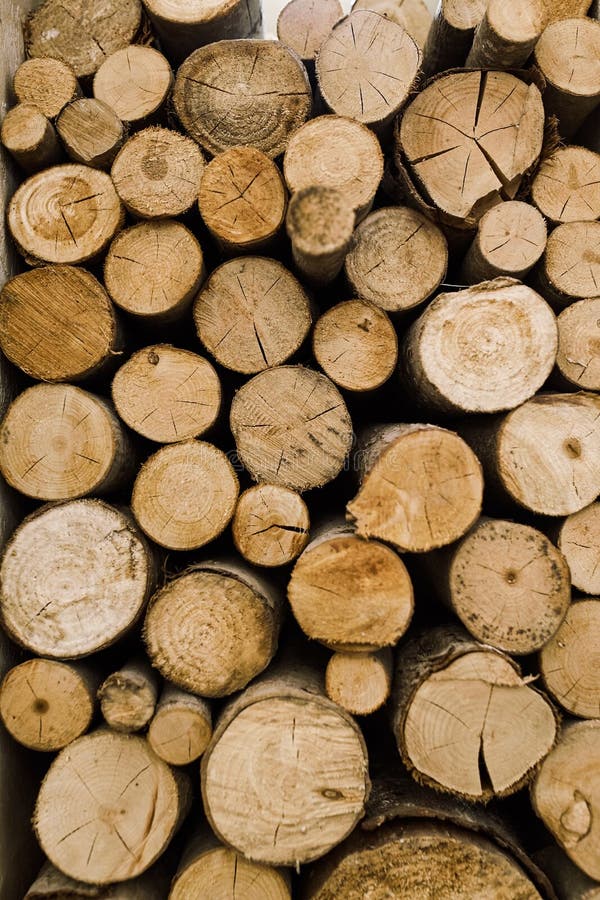 Texture of logs. Pattern stock photo. Image of nature - 121032940