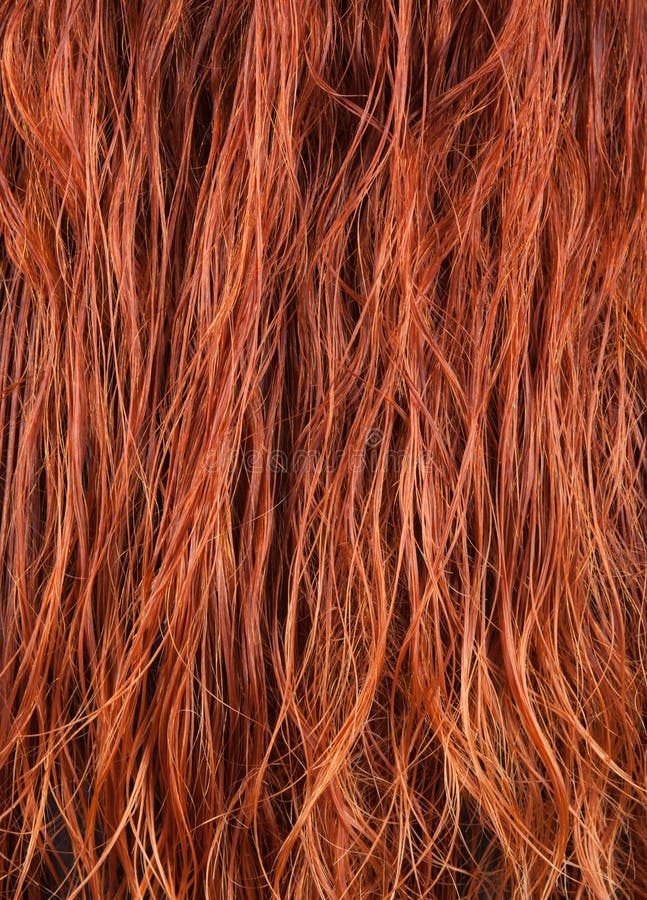 Unique Nature Frills Textures Stock Photo - Image of background ...