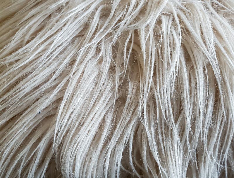 Texture - Long Hair stock photo. Image of carpet, decoration - 108028490