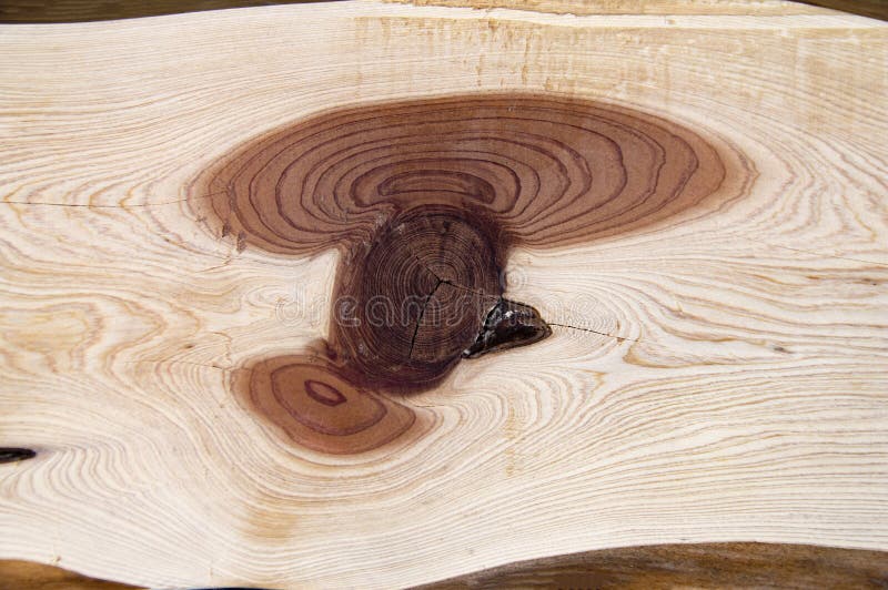 Longitudinal Planks Stock Photos - Free & Royalty-Free Stock Photos ...